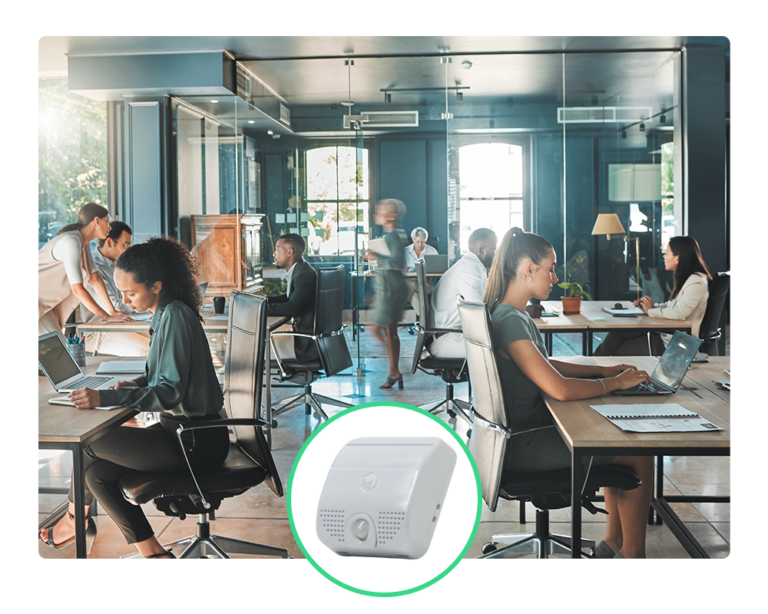 Behind Closed Doors: The Air Quality Issue in Office Pods